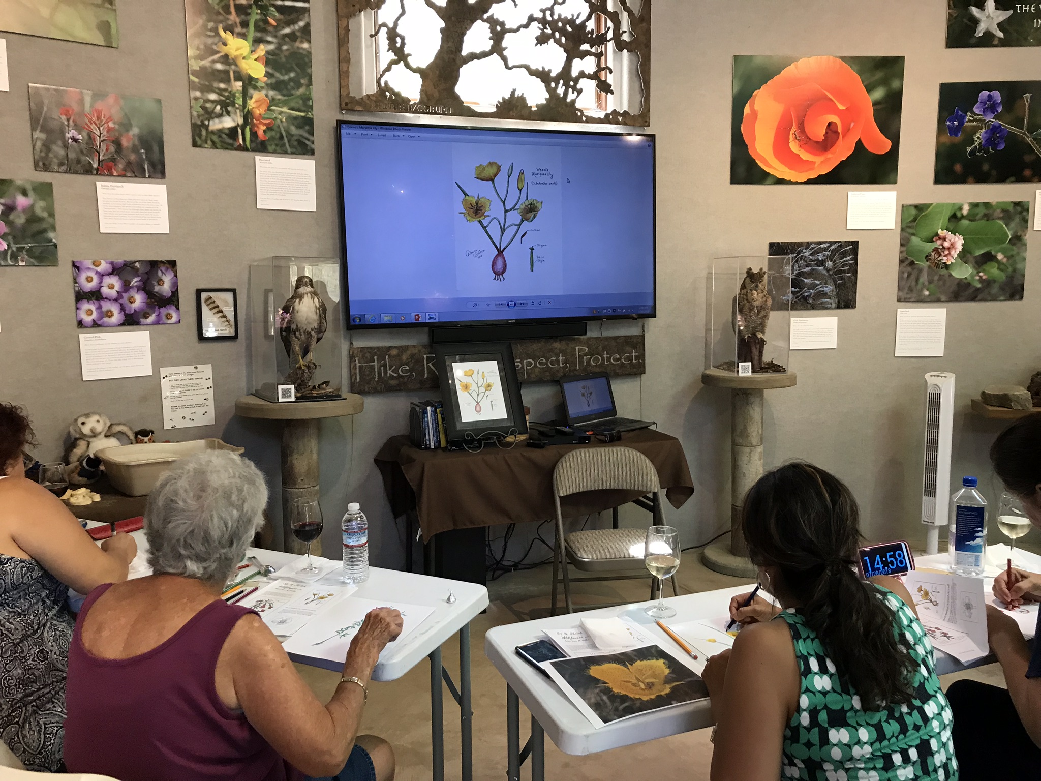 Sip & Sketch – Archaeological Illustrations