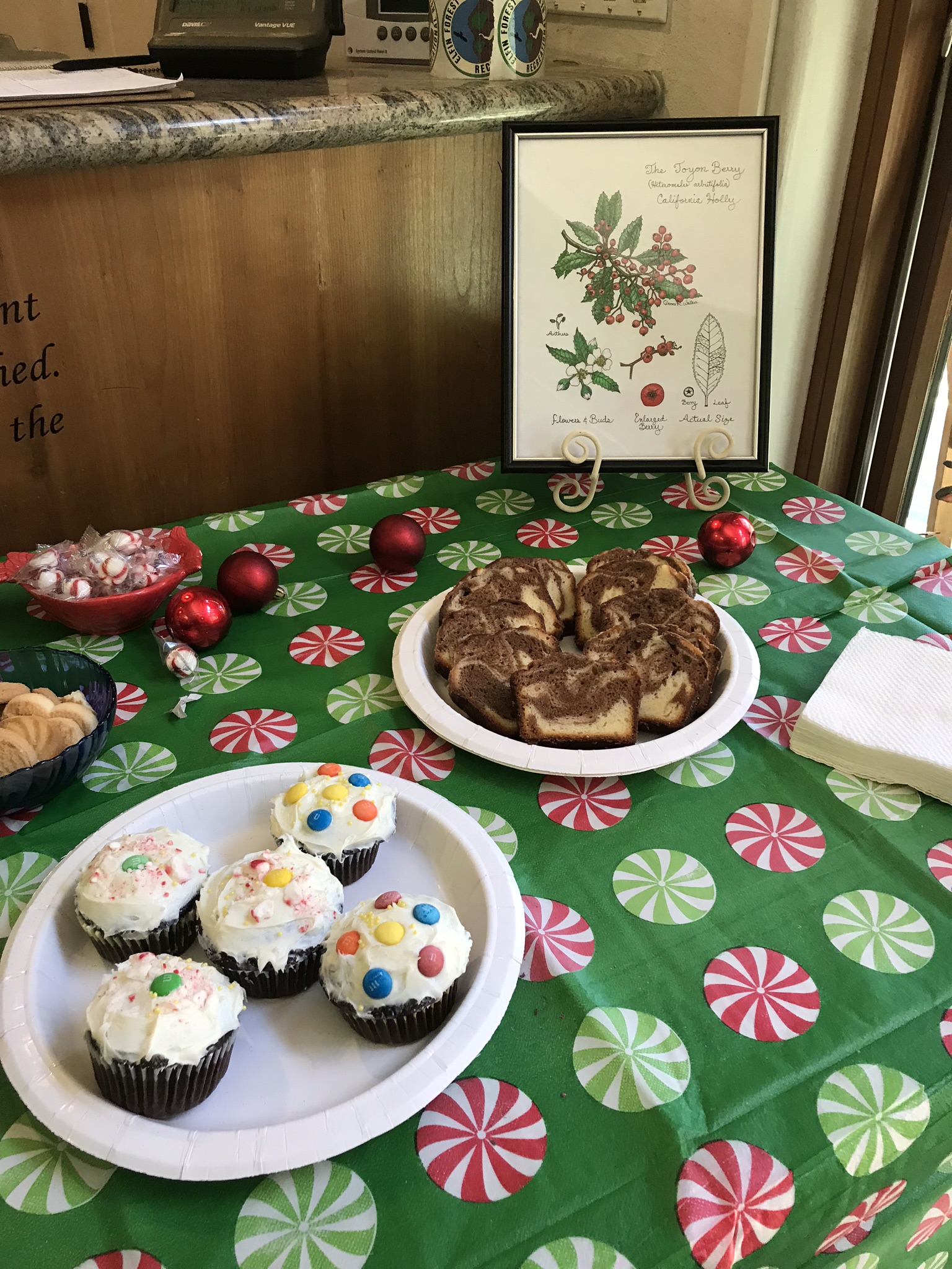 Holiday treats for Toyon drawing class – Archaeological Illustrations